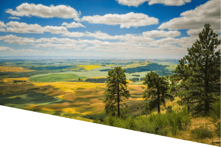 How We Work - Innovia Foundation