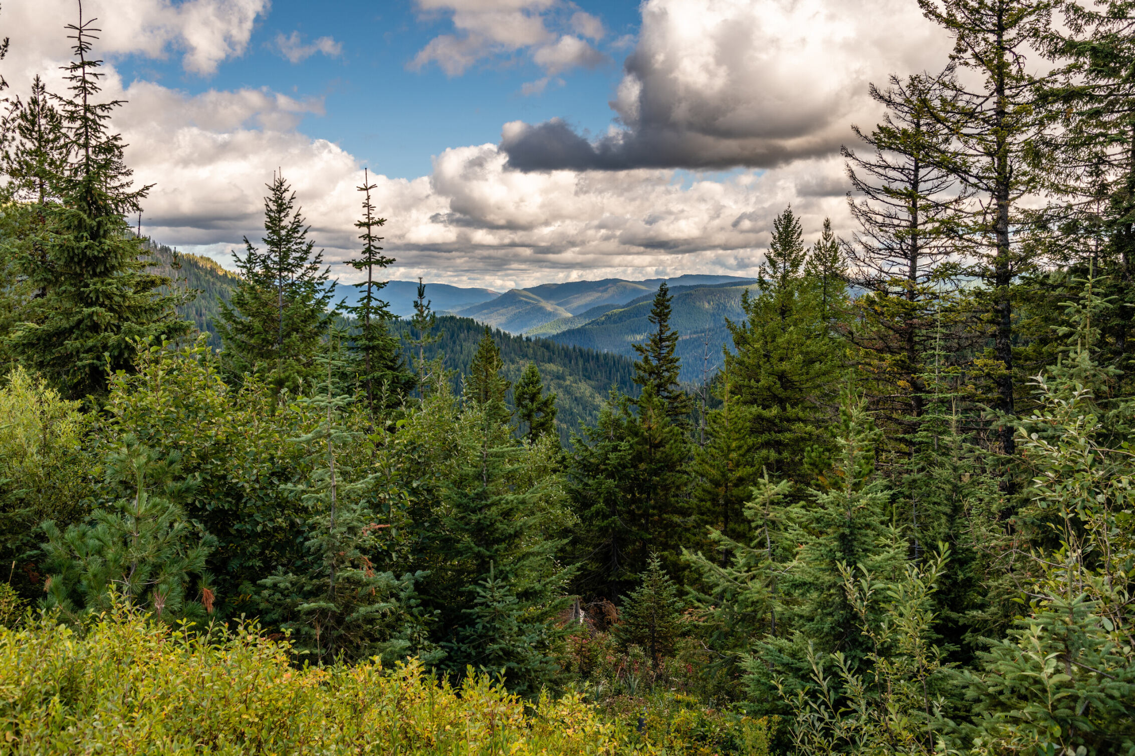 Shoshone County - Innovia Foundation