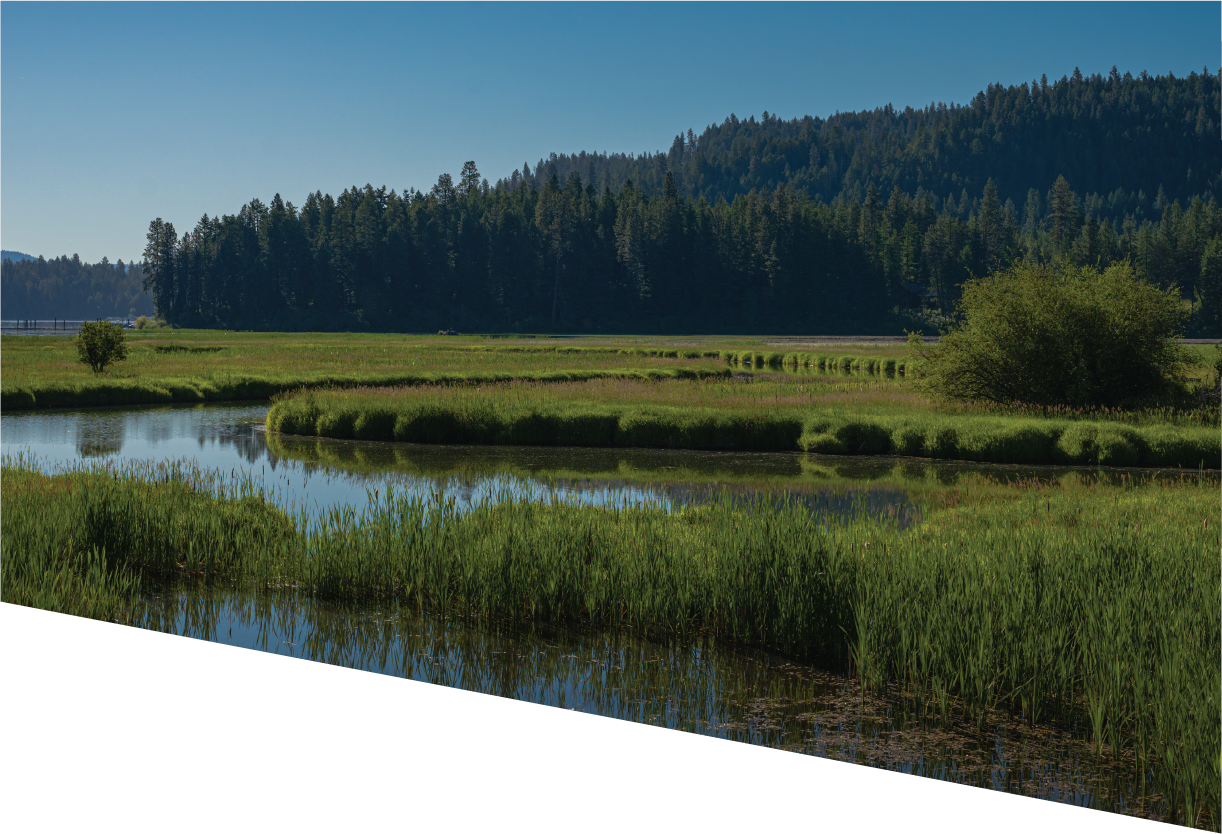 Benewah County - Innovia Foundation