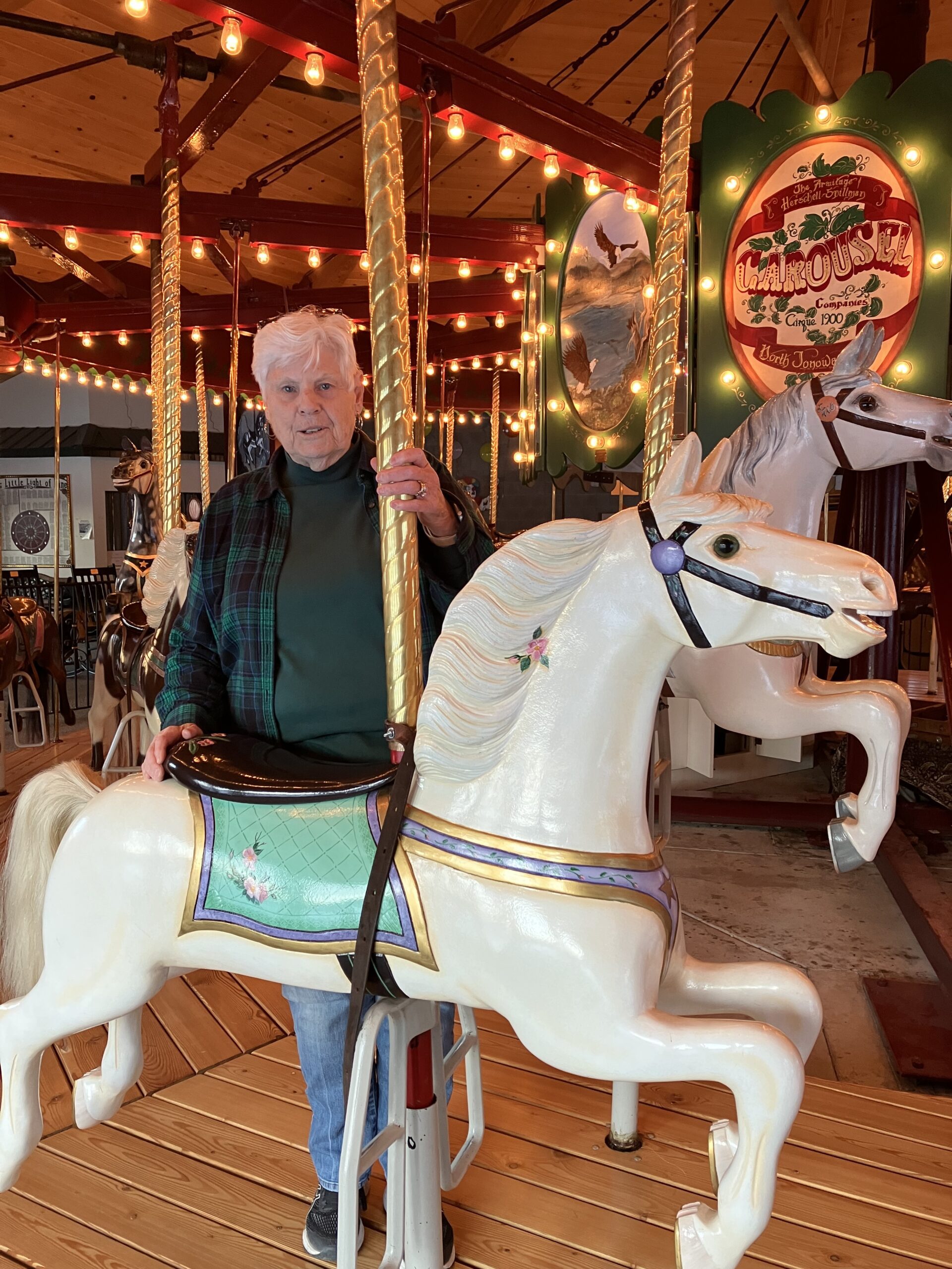 A Carousel for Community - Innovia Foundation