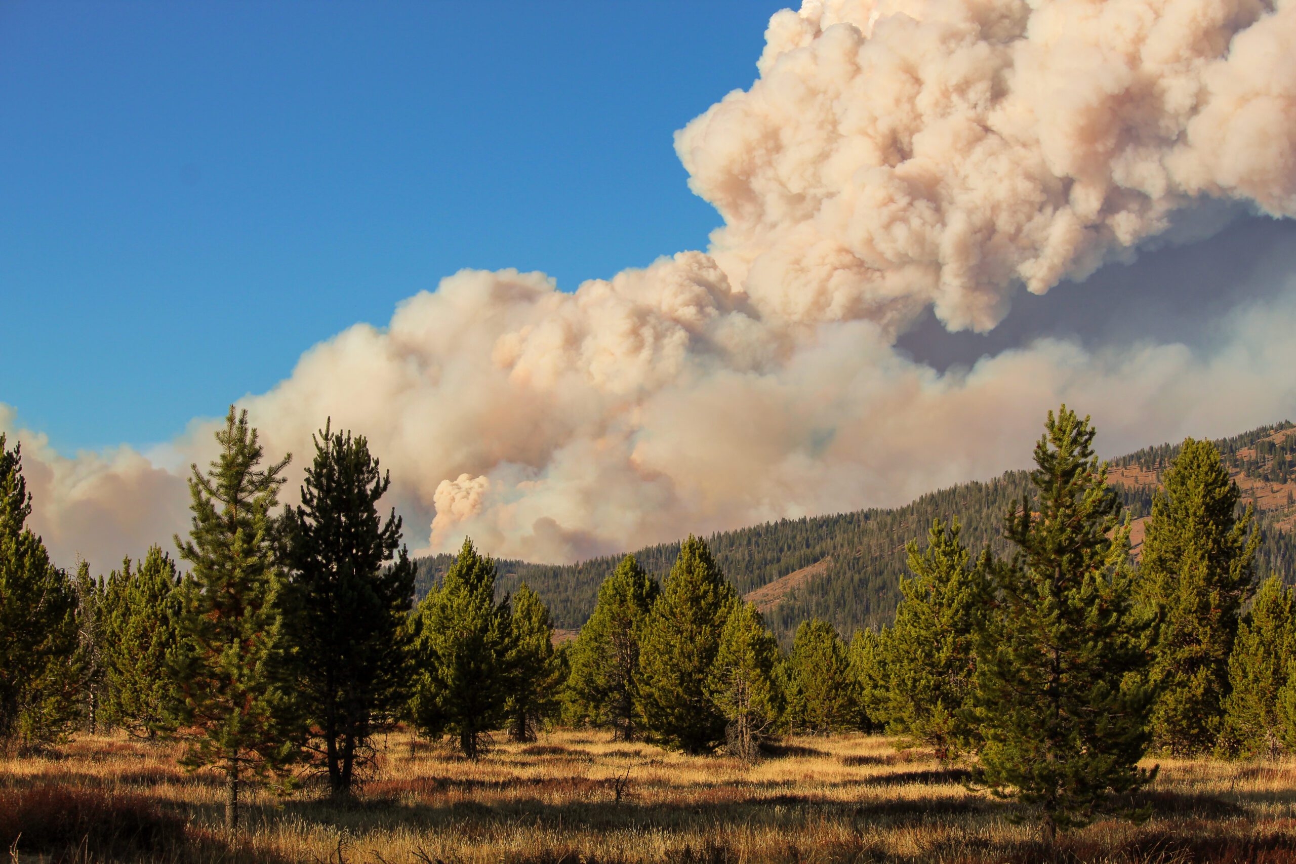 Wildfire Emergency Response Fund – North Idaho - Innovia Foundation