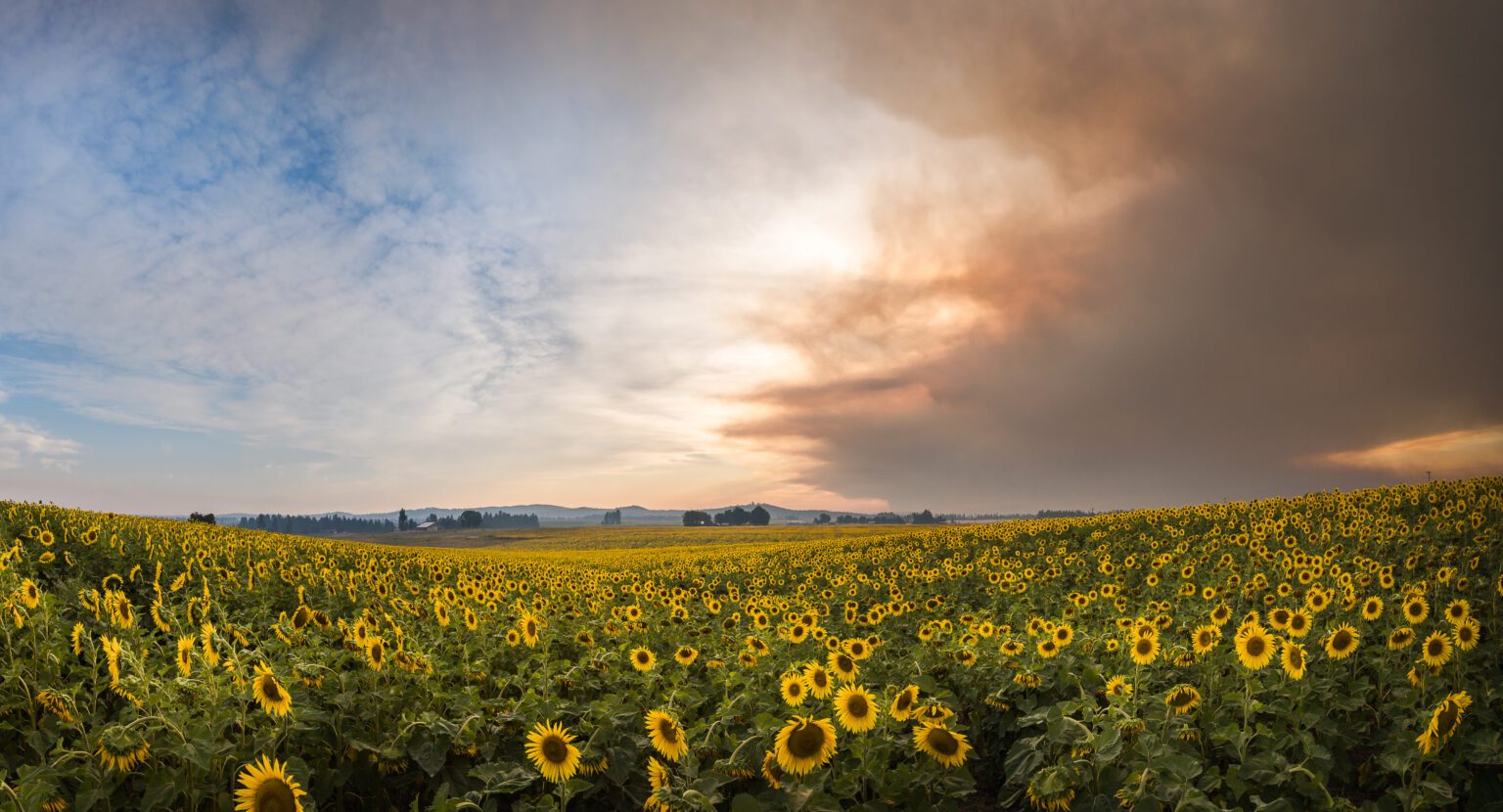 2025 Make More Possible Photo Contest Winners - Innovia Foundation